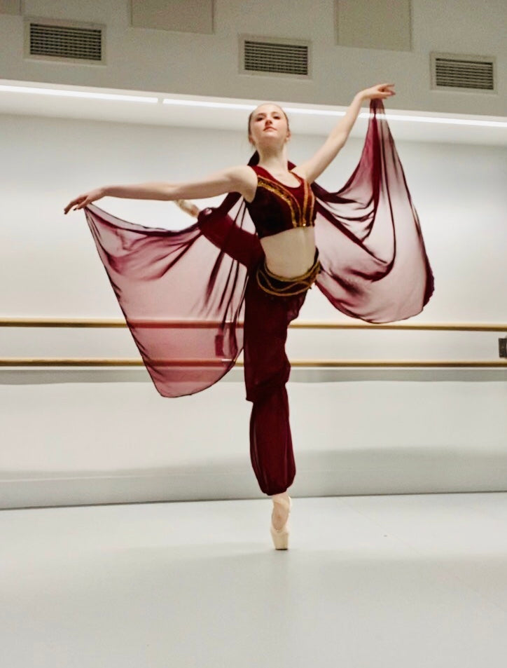 La Bayadere Nikiya Arabian Middle Eastern Costume - Hire only – Just Ballet