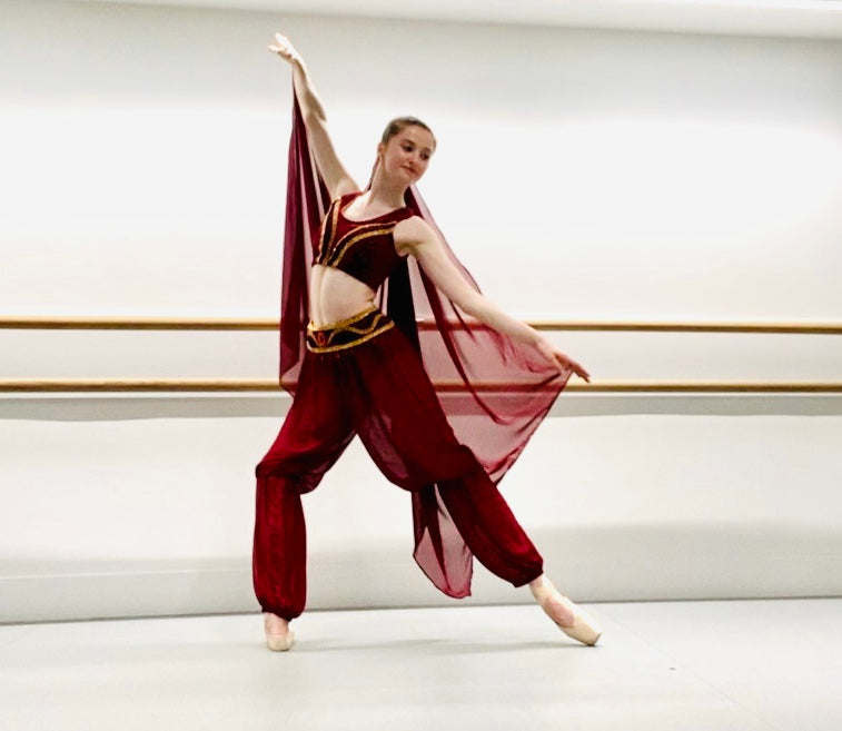 La Bayadere Nikiya Arabian Middle Eastern Costume - Hire only – Just Ballet