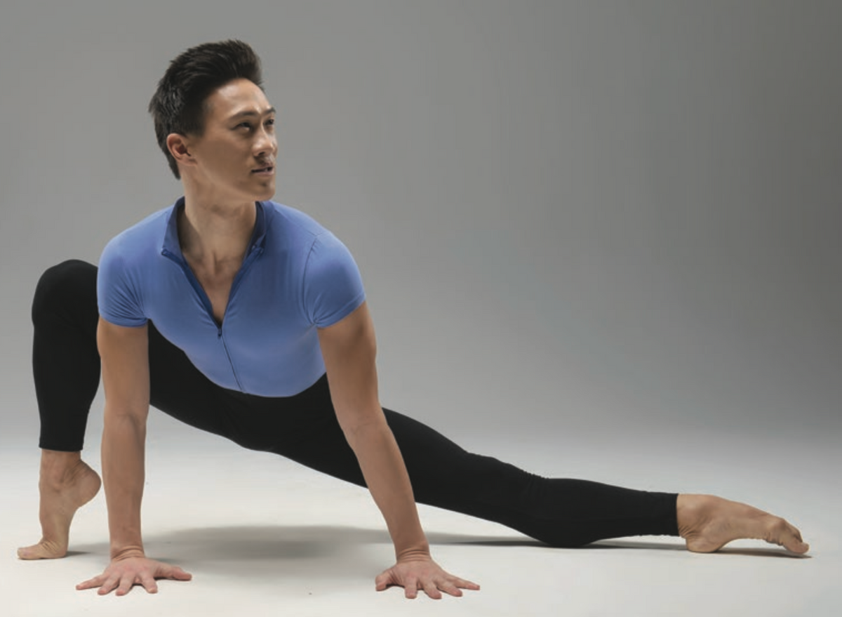 Ballet Rosa Conrad two tone unitard – Just Ballet